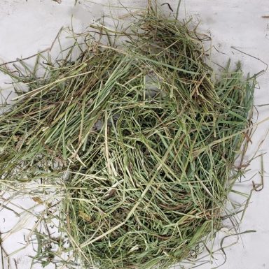 Dalziel Hay Products
